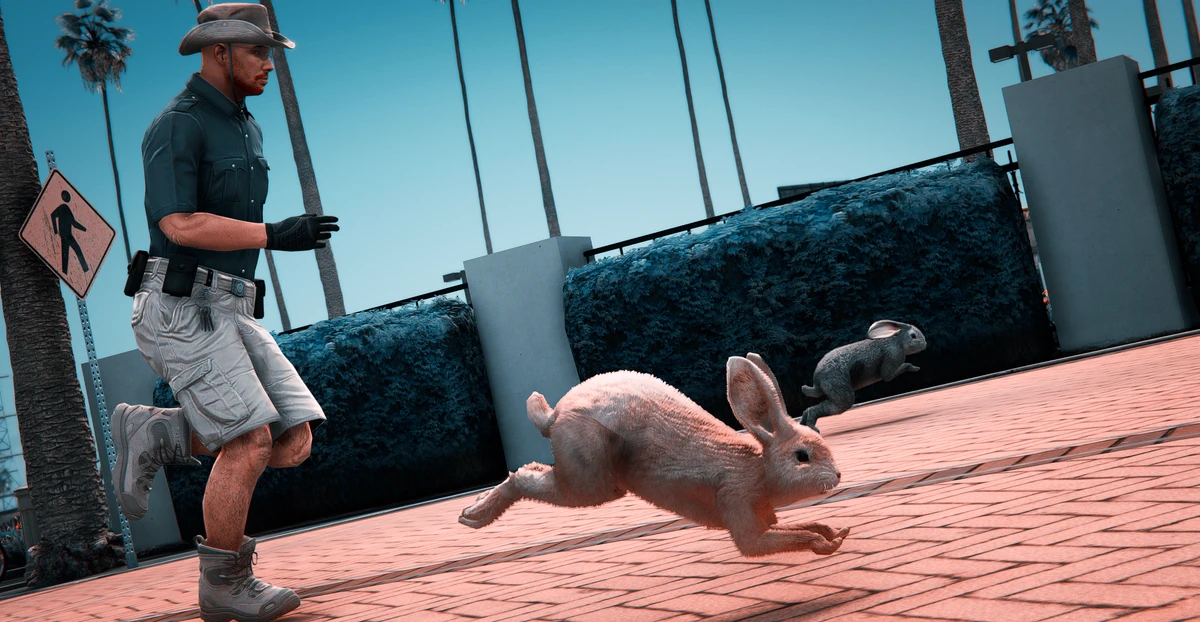 Finn Makaveli | Cubic Roleplay Wiki | Fandom