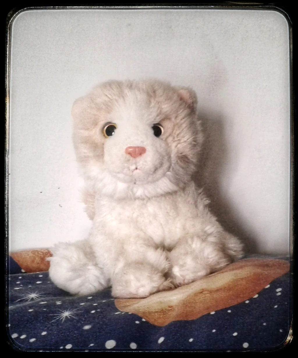 Speakat | Cuchi Wiki | Fandom