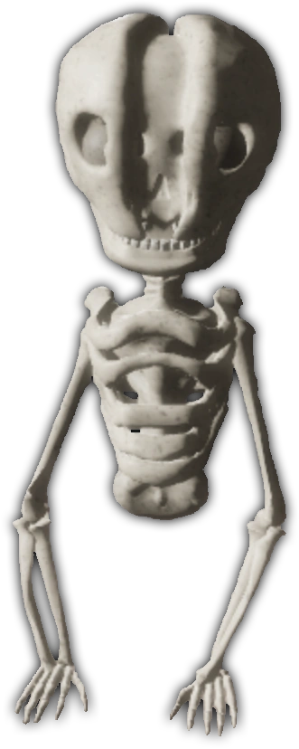 Bonesworth | Cult of the Cryptids Вики | Fandom