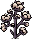 Cotton (Material) | Cult of the Lamb Wiki | Fandom