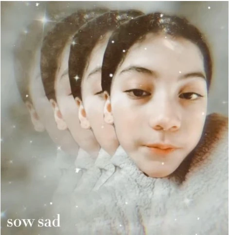 ALBUMS | Cultio Entertainment Wiki | Fandom