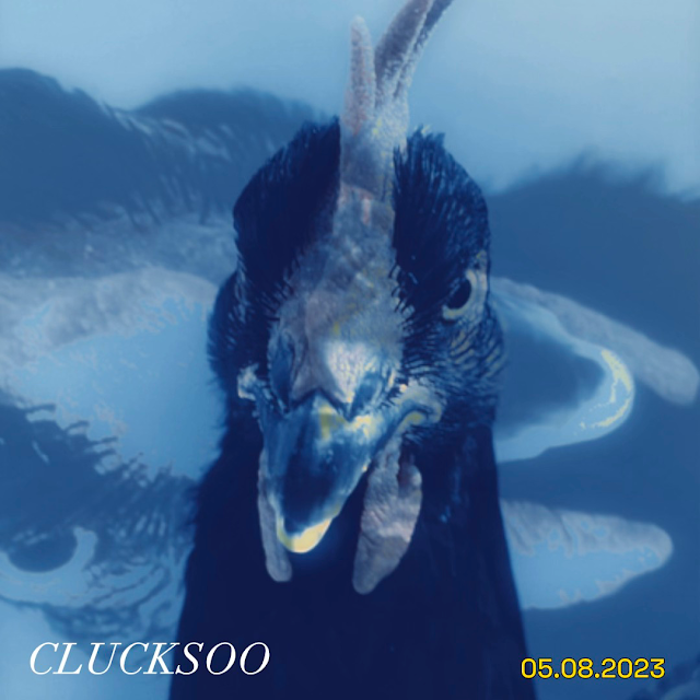 Clucksoo | Cultio Entertainment Wiki | Fandom