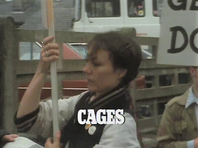 Cages | Culture Wikia | Fandom