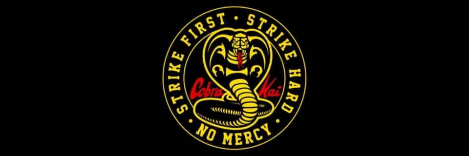 Blog:Adam david hooley Cobra kai karate virtual dojo and on the website ...