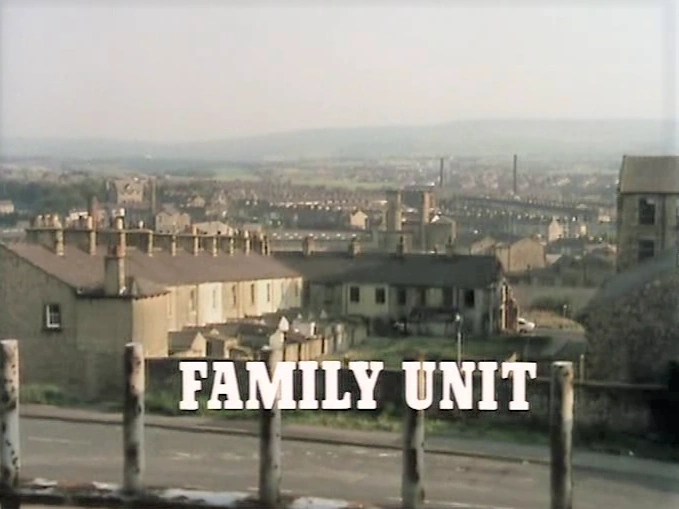 Family Unit | Culture Wikia | Fandom