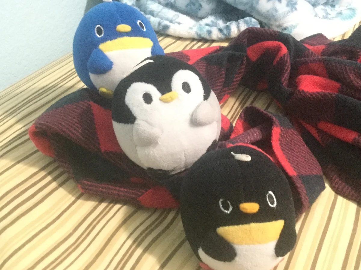 Amaji | Cumulative Immunity Wiki | Fandom