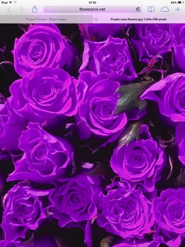 Purple flowers | Cupcakes and cakes Wikia | Fandom