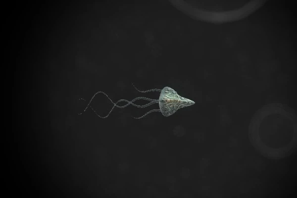 Shroud | C.U.R.E. Wiki | Fandom