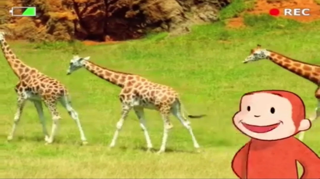 Curious George at the Zoo | Curious George Wiki | Fandom