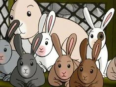 Bill's Bunnies | Curious George Wiki | Fandom