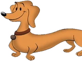 Category:Dogs | Curious George Wiki | Fandom
