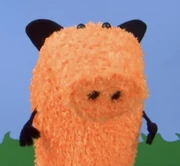 Pig | Curious Buddies Wiki | Fandom