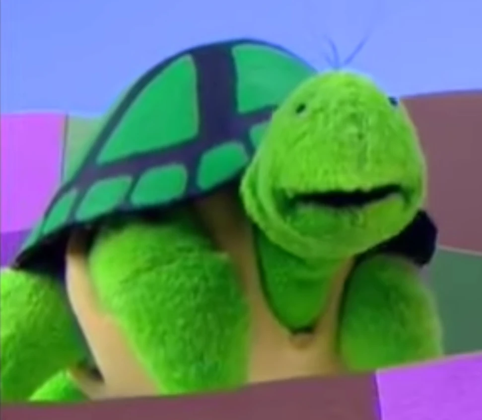 Turtle | Curious Buddies Wiki | Fandom