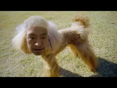 Human Face Dog | Cursed Commercials Wiki | Fandom