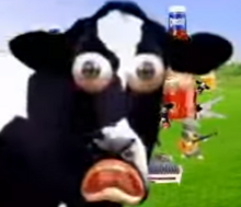 Crusha Kittens | Cursed Commercials Wiki | Fandom