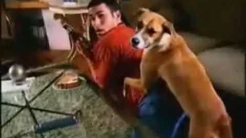 Bad Dog | Cursed Commercials Wiki | Fandom