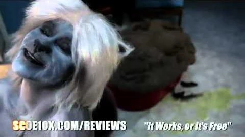 Bad Cat | Cursed Commercials Wiki | Fandom