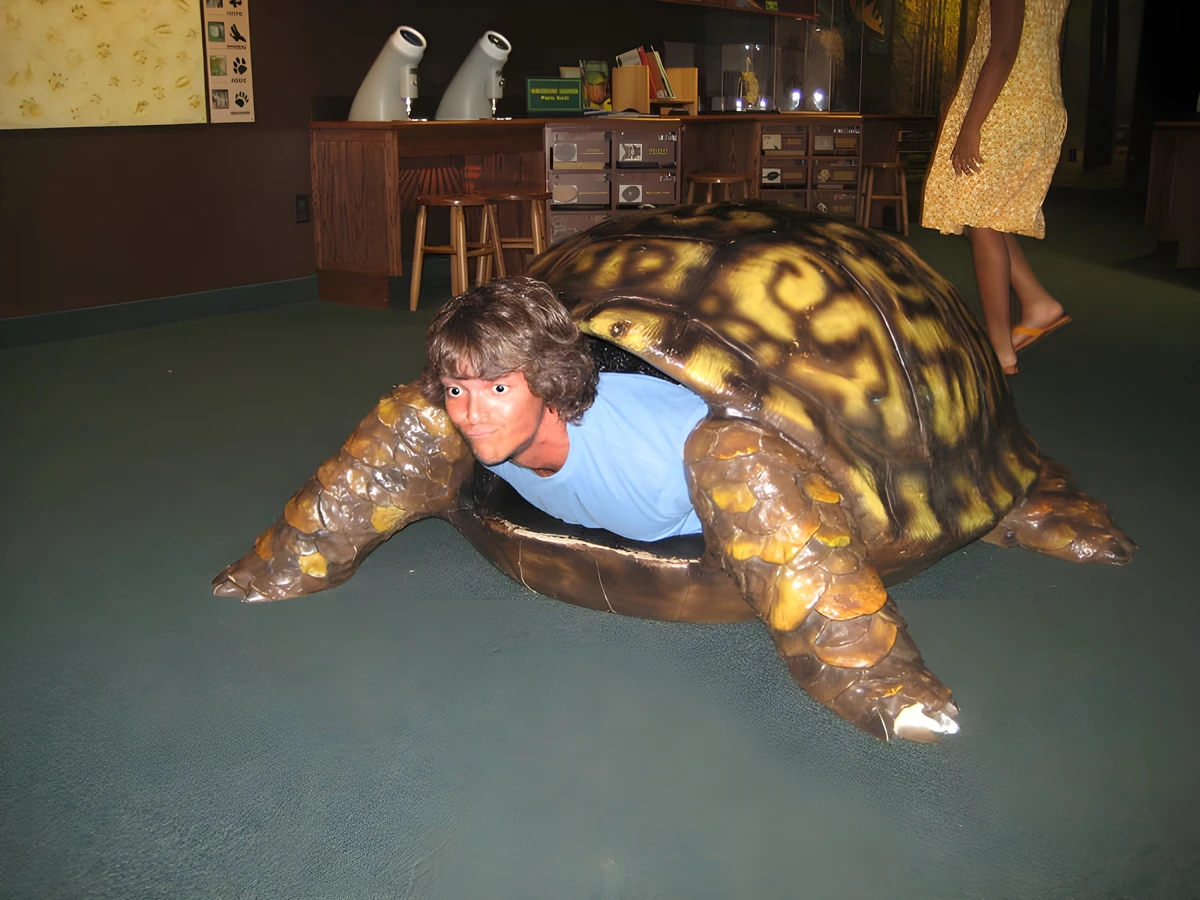 Teenage Mutant Fail Turtle | Cursed Images Inspiration Wiki | Fandom