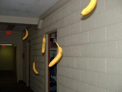 Floating Bananas | Cursed Images Inspiration Wiki | Fandom