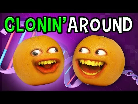 Annoying Orange - Clonin' Around! | Cursed Videos Wiki | Fandom