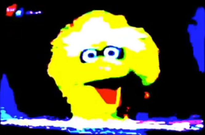 Killer Big Bird Unleashed | Cursed Videos Wiki | Fandom