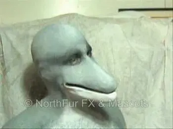 Dolphin Muzzle | Cursed Videos Wiki | Fandom