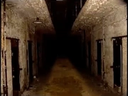 SCP-450 | Cursed Videos Wiki | Fandom