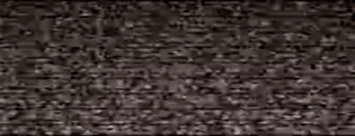 Camerahead | Cursed Videos Wiki | Fandom