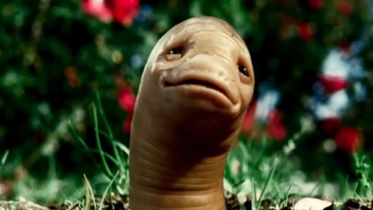 Worm | Cursed Videos Wiki | Fandom