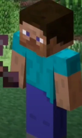 Steve | CursedBox Wiki | Fandom