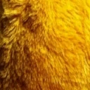 Laa-Laa/Image Gallery | Slendytubbies Wiki | Fandom