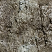 Main Land/Image Gallery | Slendytubbies Wiki | Fandom