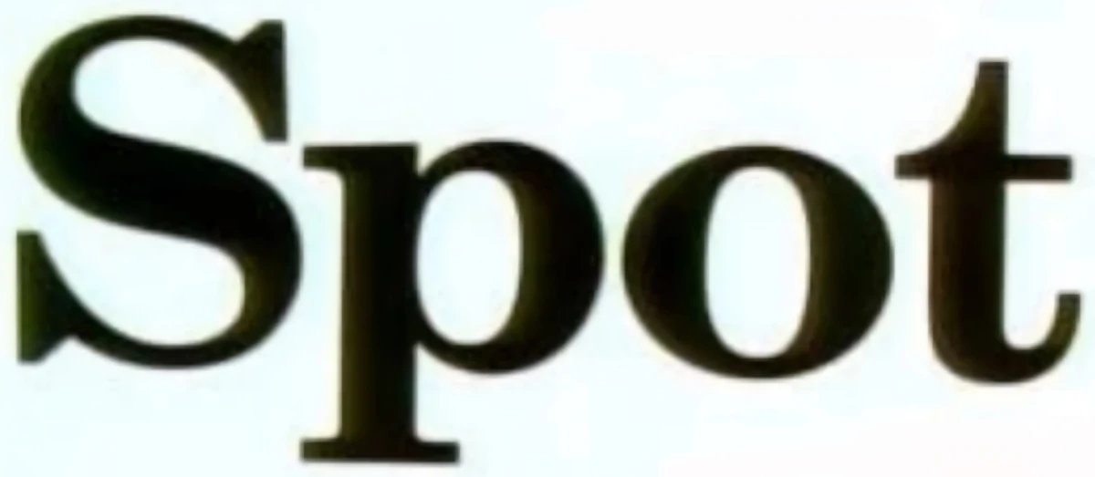 List of Spot VHS | Custom And Real Deal VHS Openings And Closings Wiki ...