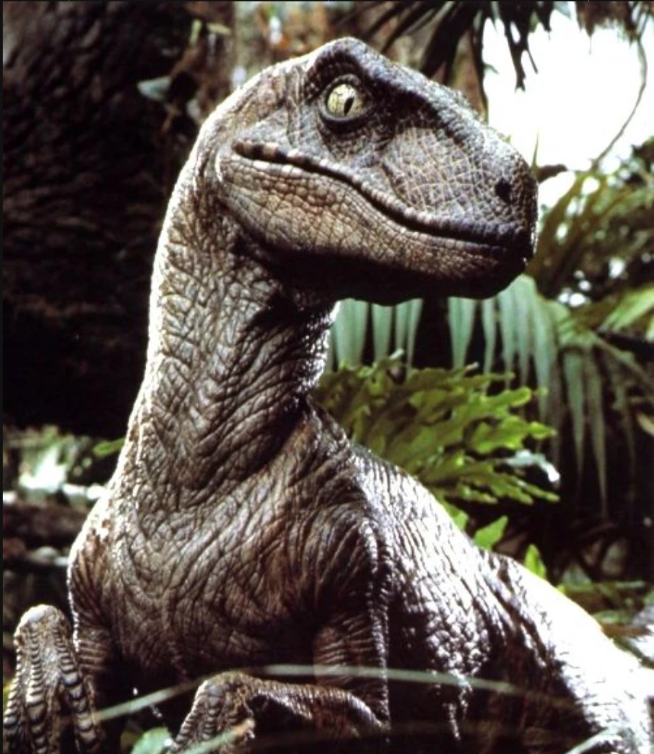 The Raptor | Custom Dead by Daylight Killer Wiki | Fandom