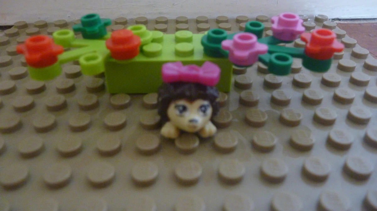 Sandy (Friends) | Custom Lego Set Wiki | Fandom