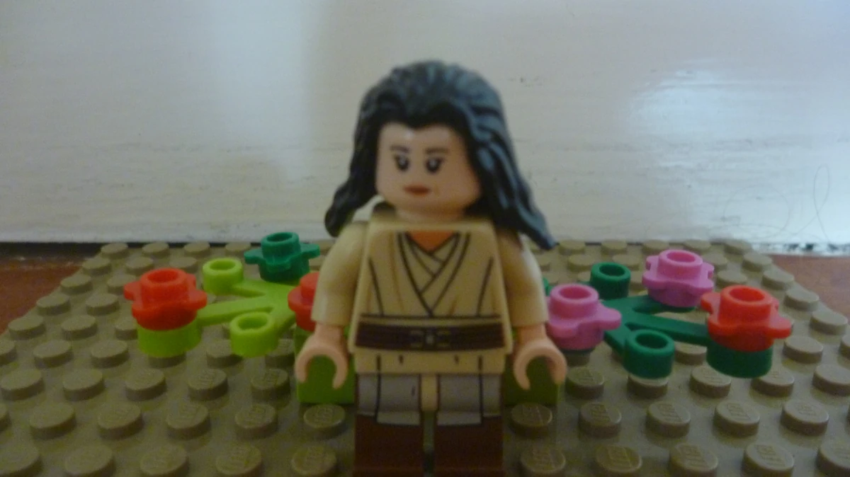 Lily Koi | Custom Lego Set Wiki | Fandom