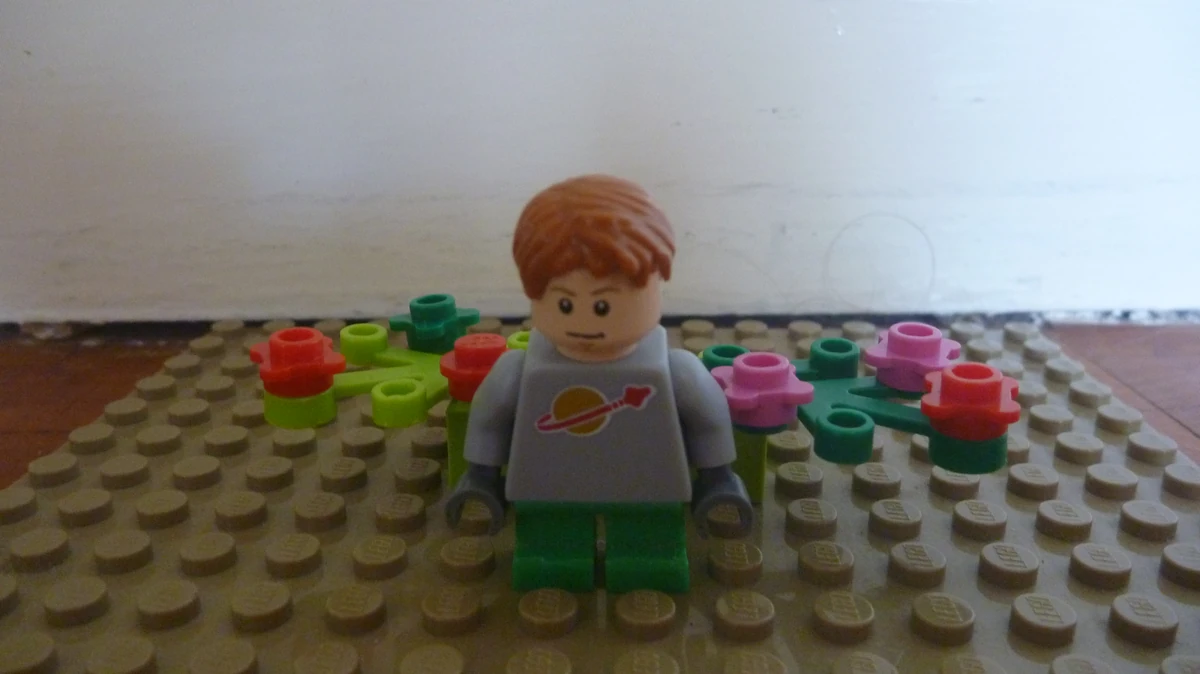 Fred Koi | Custom Lego Set Wiki | Fandom