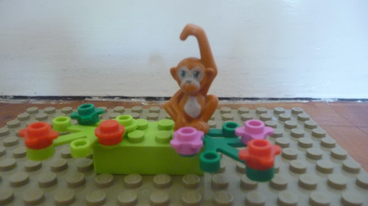 Chita | Custom Lego Set Wiki | Fandom