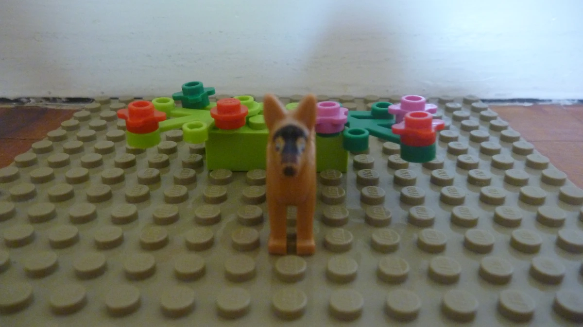 Joe | Custom Lego Set Wiki | Fandom