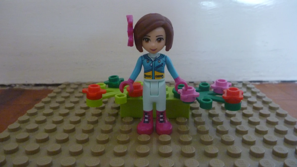 Amy | Custom Lego Set Wiki | Fandom