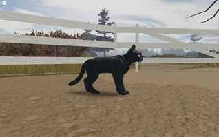 Bat | Custom wcue Npc Wiki | Fandom