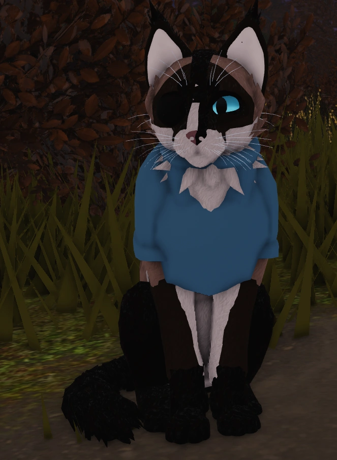 Snowshard | Custom wcue Npc Wiki | Fandom