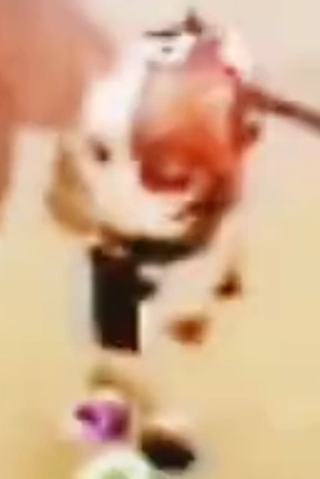 Shokeys | Custom wcue Npc Wiki | Fandom