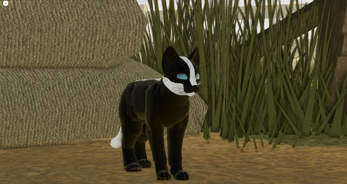 Badger | Custom wcue Npc Wiki | Fandom