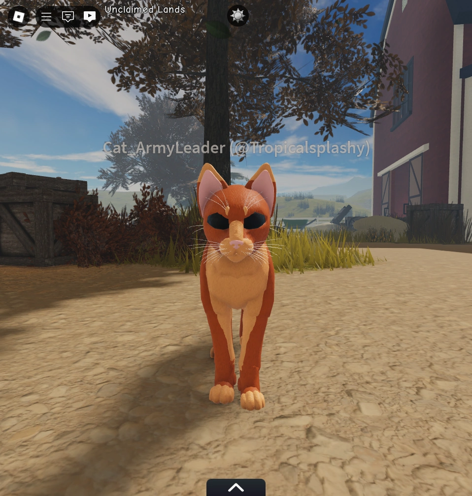 Sunshine | Custom wcue Npc Wiki | Fandom