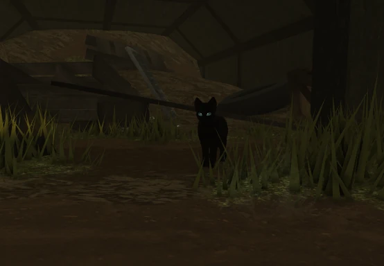 Banner | Custom wcue Npc Wiki | Fandom