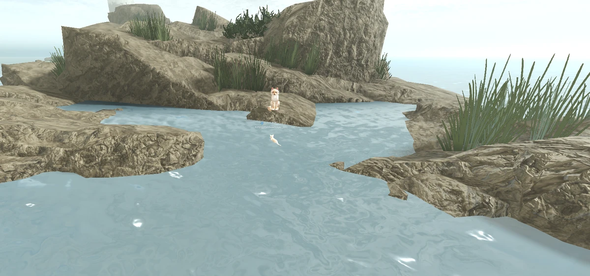 Ocean (NPC OC) | Custom wcue Npc Wiki | Fandom