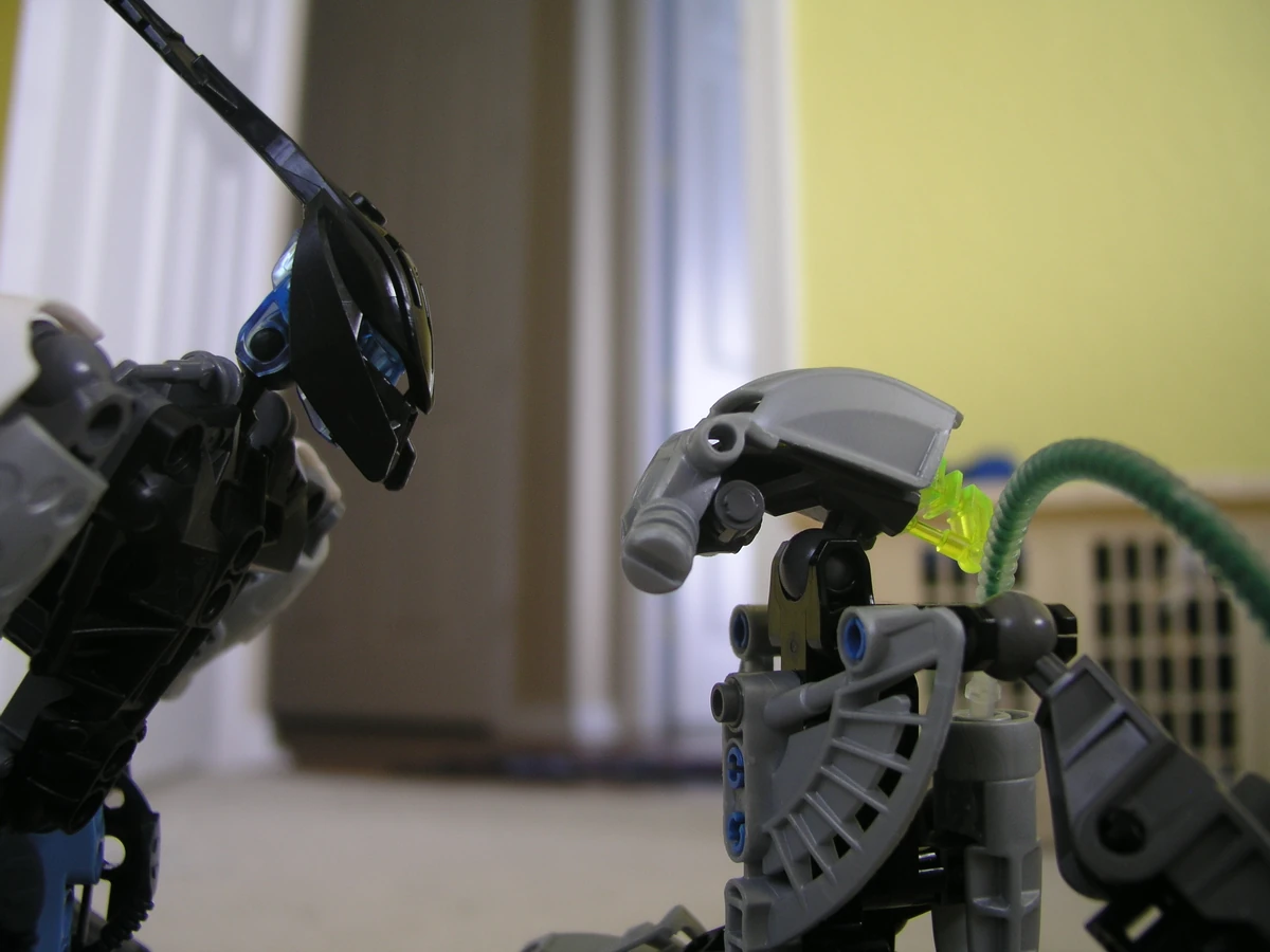 Zilon: Book 1 | Custom BIONICLE Wiki | Fandom