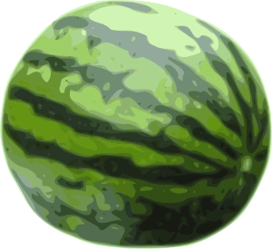 Watermelon | Custom BIONICLE Wiki | Fandom