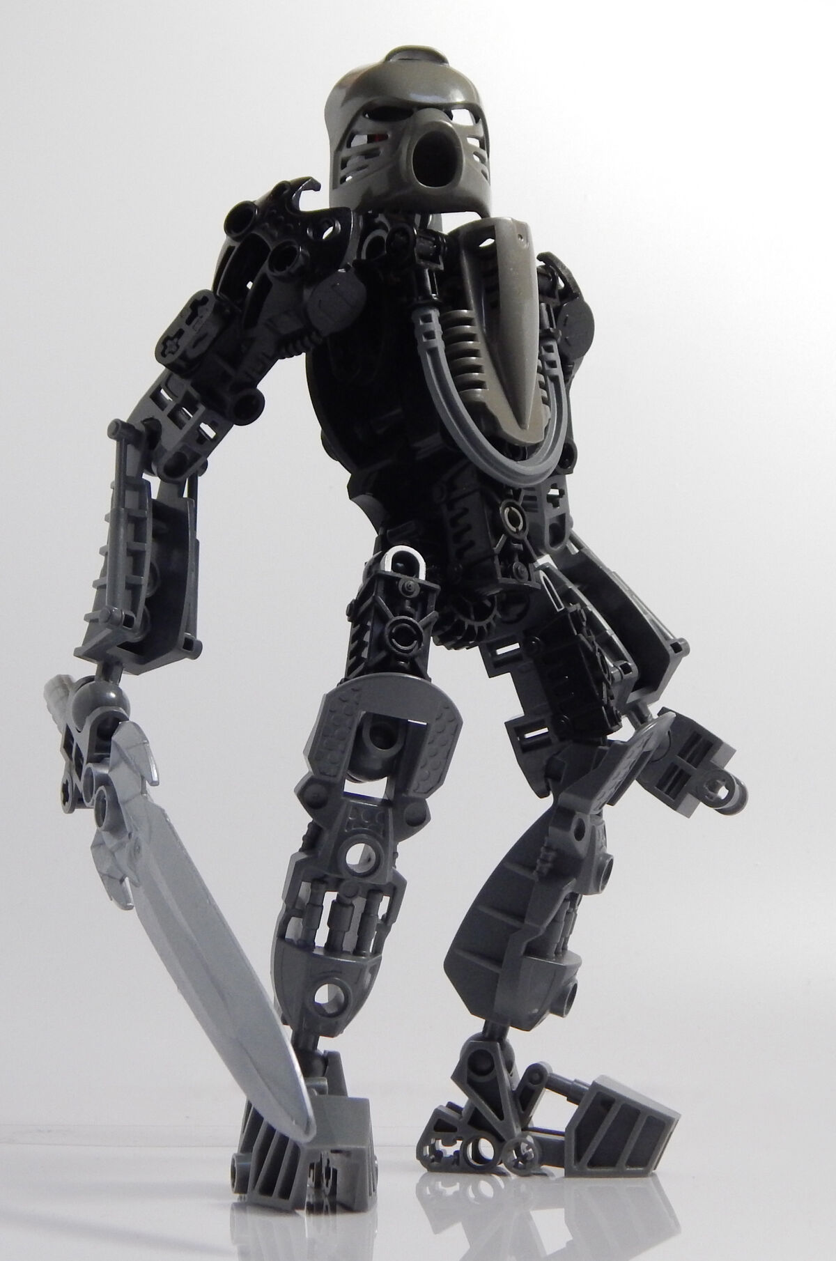 Nuva Remains Alternate Universe Custom Bionicle Wiki Fandom